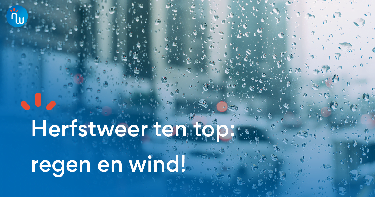 Herfstweer ten top: veel regen en winderig - NoodweerBenelux