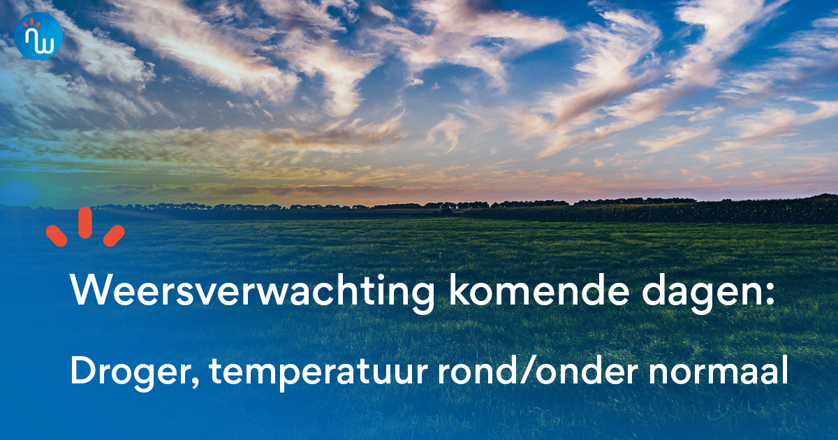 Weersverwachting komende dagen: vrij droog, temperatuur rond of onder normaal - NoodweerBenelux