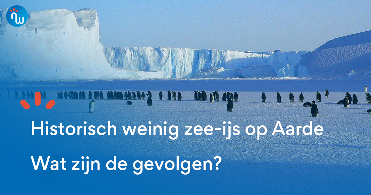 Record weinig zee-ijs op Aarde - NoodweerBenelux