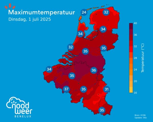 Zonneslag, hitteslag en hitteberoerte: hoe vermijd je ze? - NoodweerBenelux