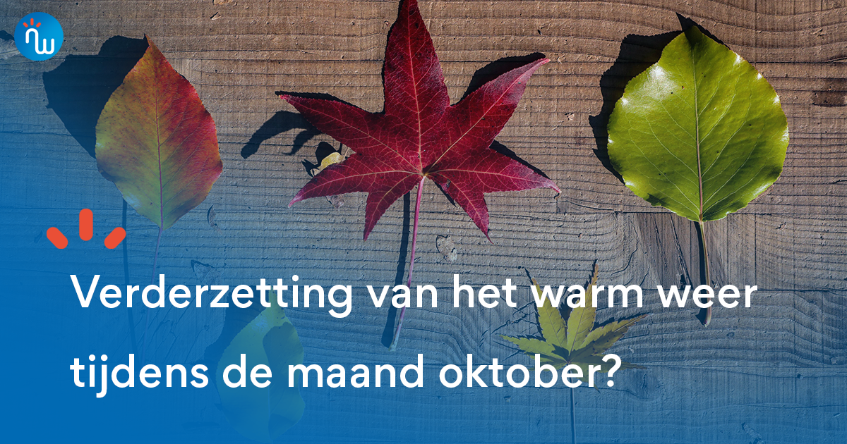 Meerdere opties voor het weertype in oktober 2025 - NoodweerBenelux