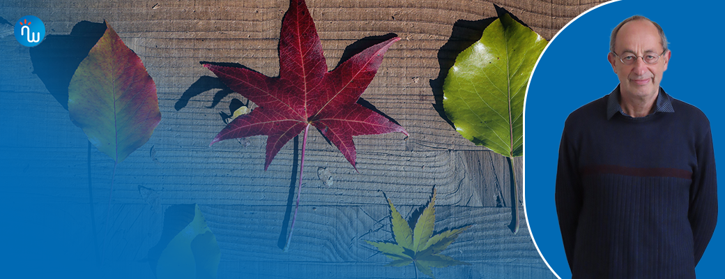 Meerdere opties voor het weertype in oktober 2025 - NoodweerBenelux